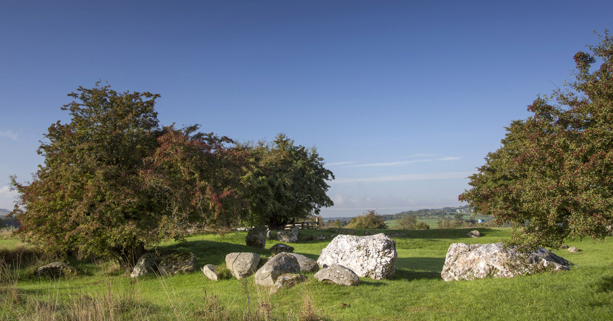Castleruddery (Stone Circle, Wicklow, Ireland)